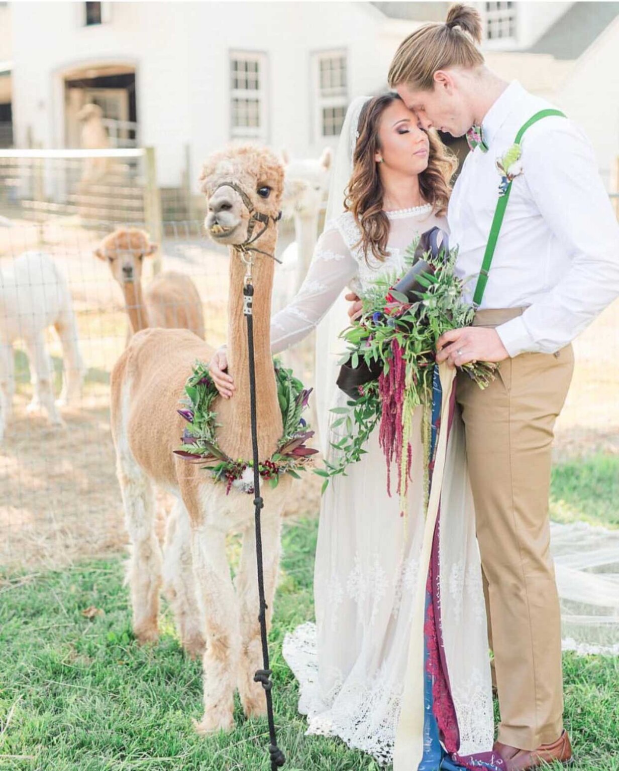 Contact - Kiss the Bride